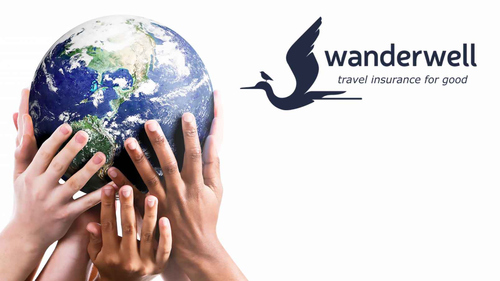 Wanderwell - For Good Movement